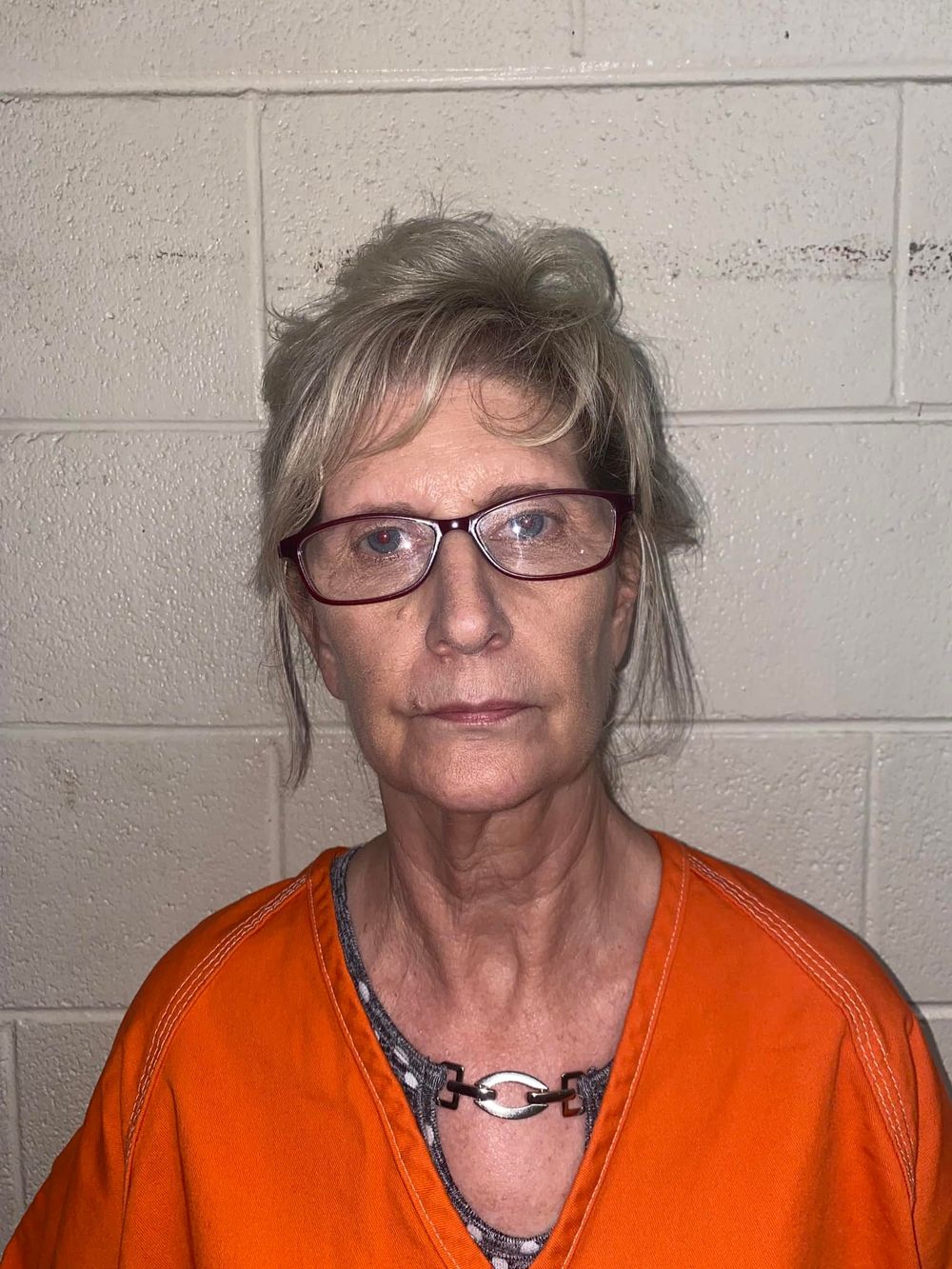 The Lacey Fletcher Case: Unveiling Neglect and Legal Challenges