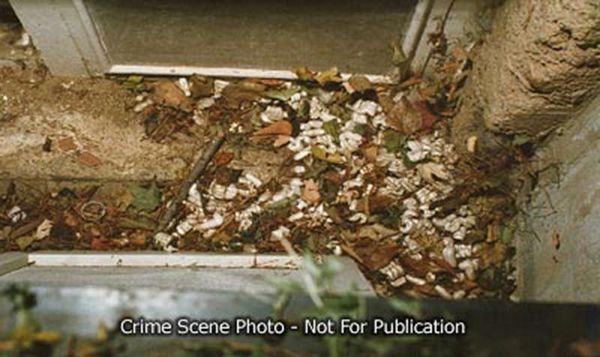 JonBenet Ramsey Case: Analysis & 911 Call