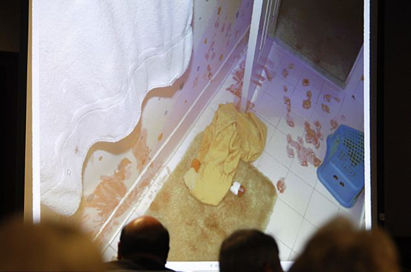 Tragedy in Raleigh: The Michelle Young Murder Case